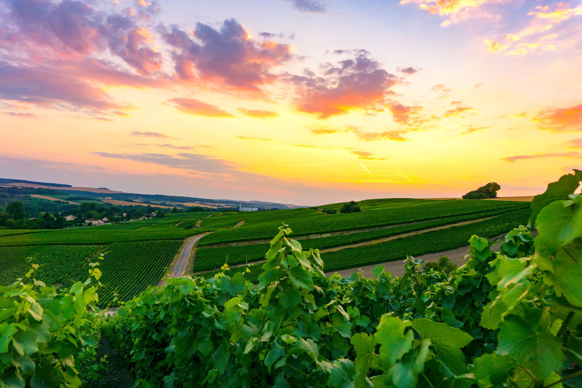 Certiweb, outil en ligne d'accompagnement aux certifications